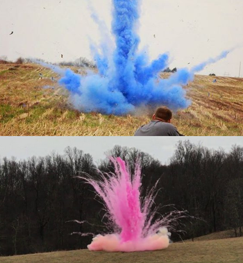 Tannerite Gender Reveal Powder Explosive Shooting Target – Peacock Powder